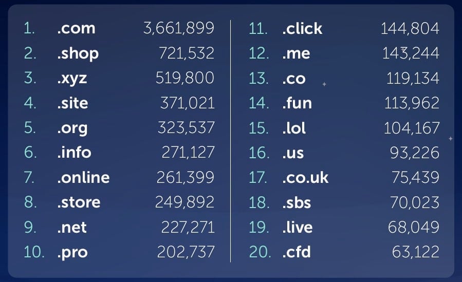 Namecheap reveals 2024 domain data - Domain Name Wire | Domain Name News