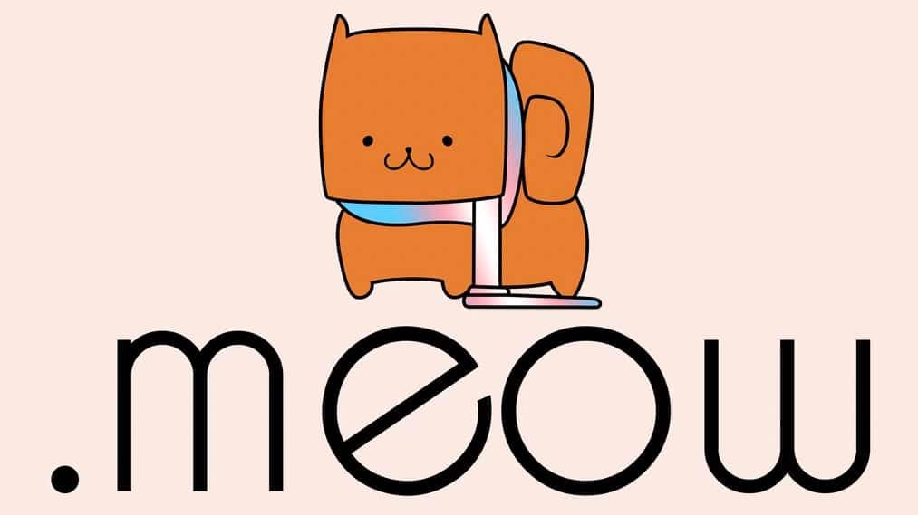 New top level domain applicant using Kickstarter to raise funds ...