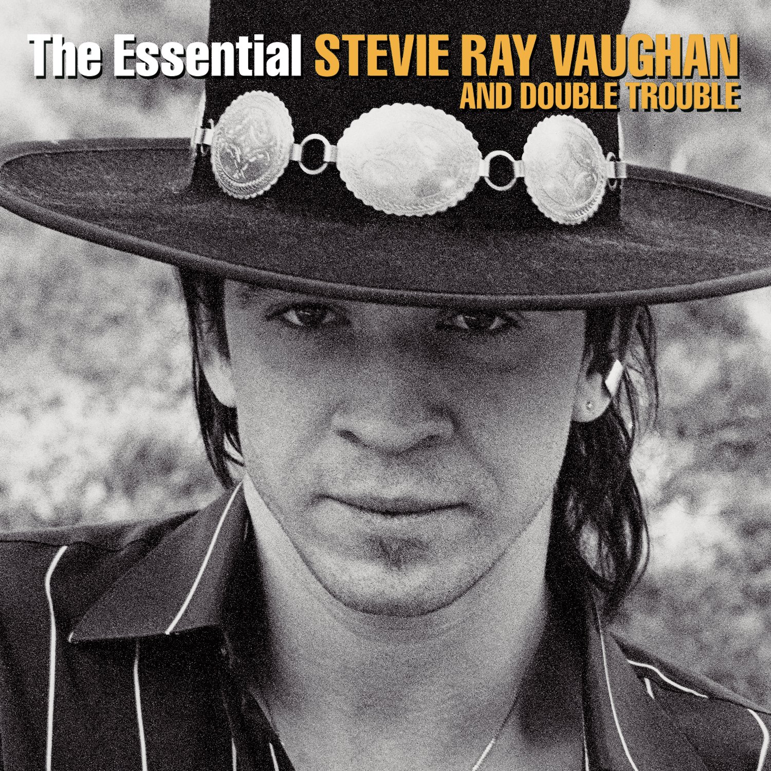 Stevie Ray Vaughan tribute site saved in cybersquatting claim - Domain ...